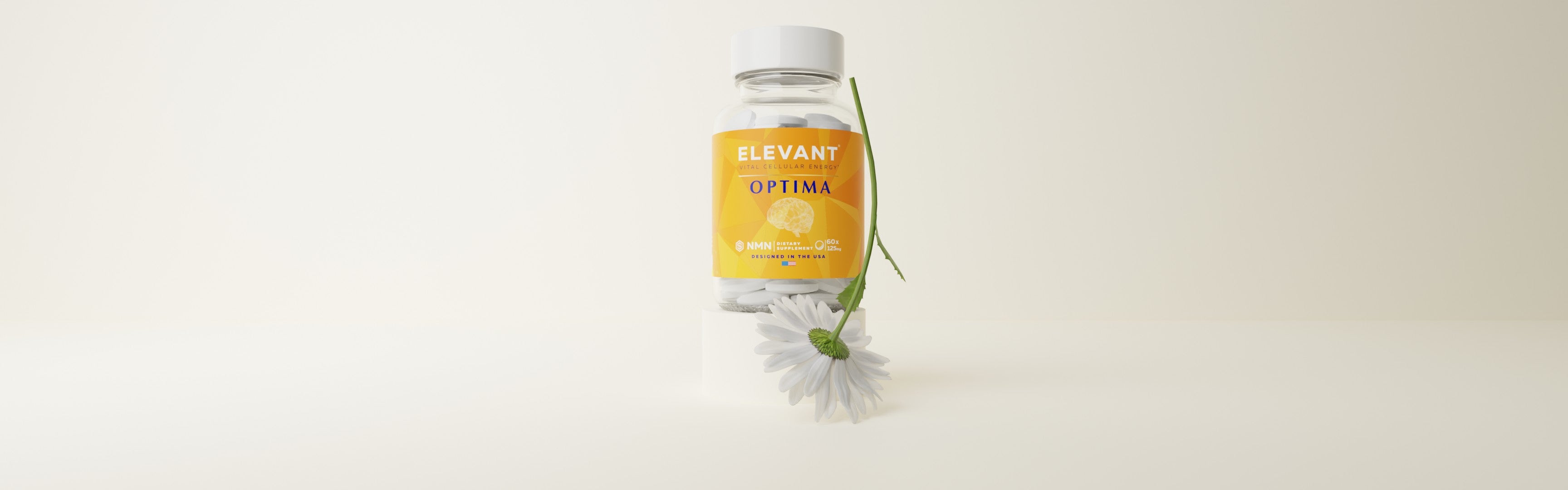 Discover the Secrets to a Healthy Life with Elevant: Tips for Optimal ...