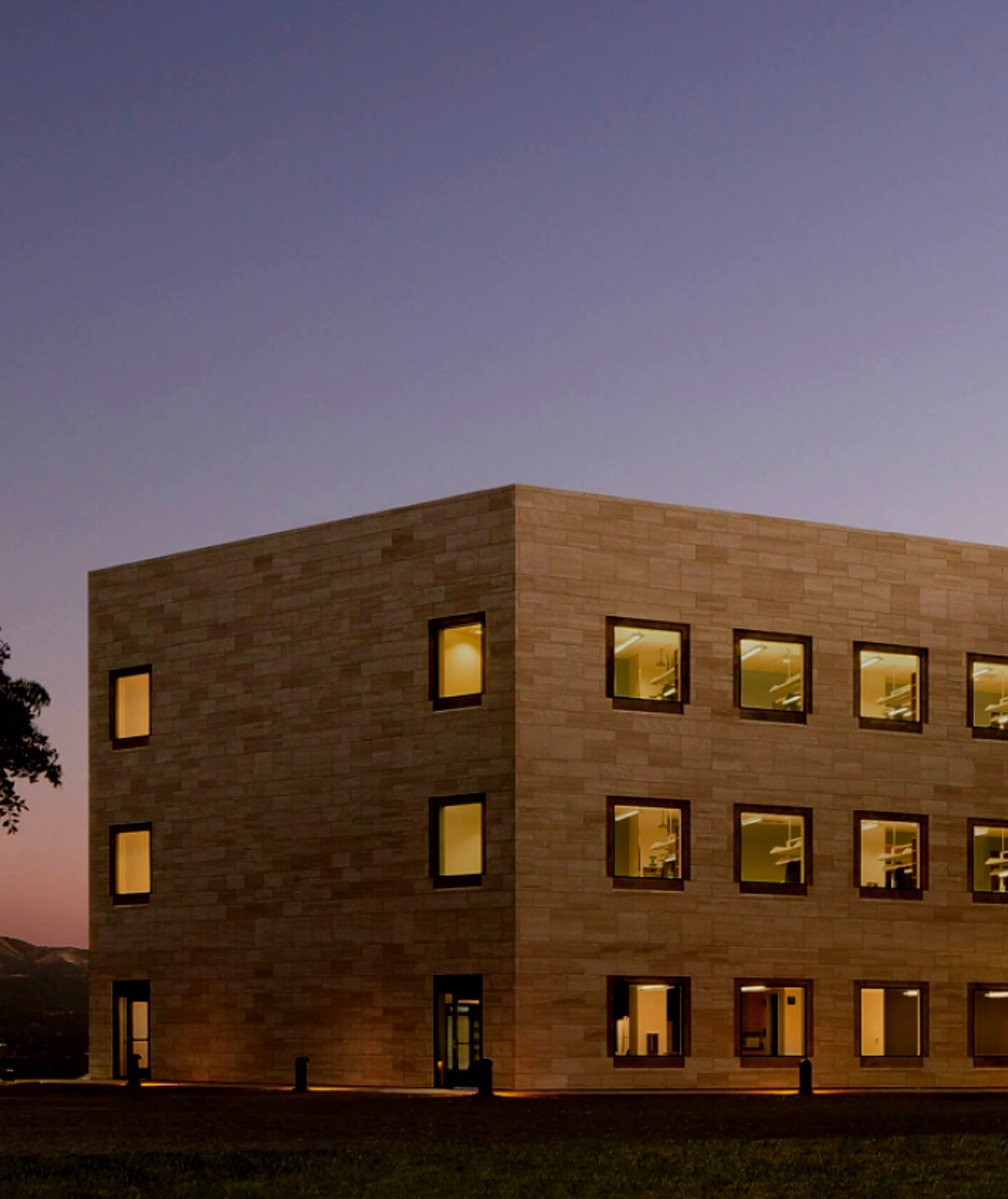 Our Story - Elevant USA